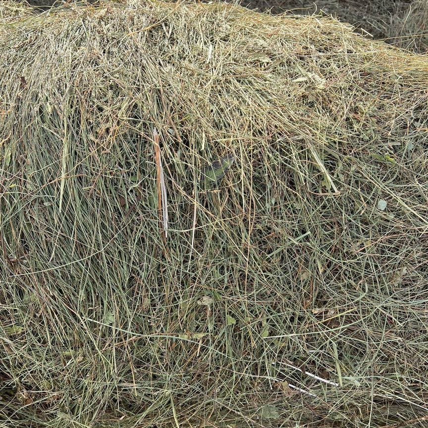 Сено в рулонах