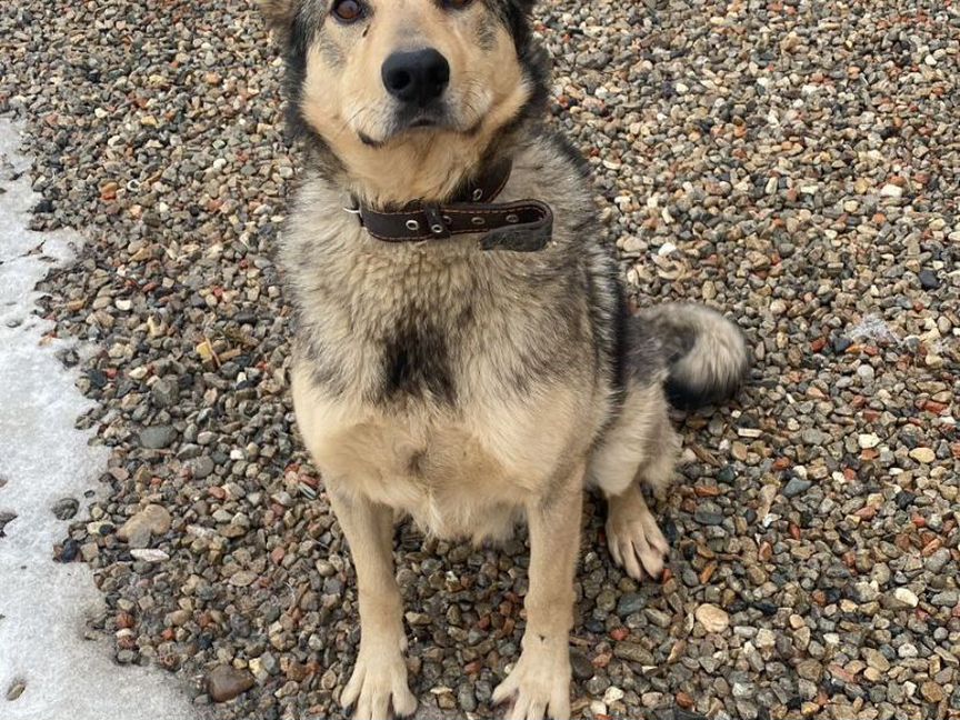 Потомственный Дворянин ждёт семью