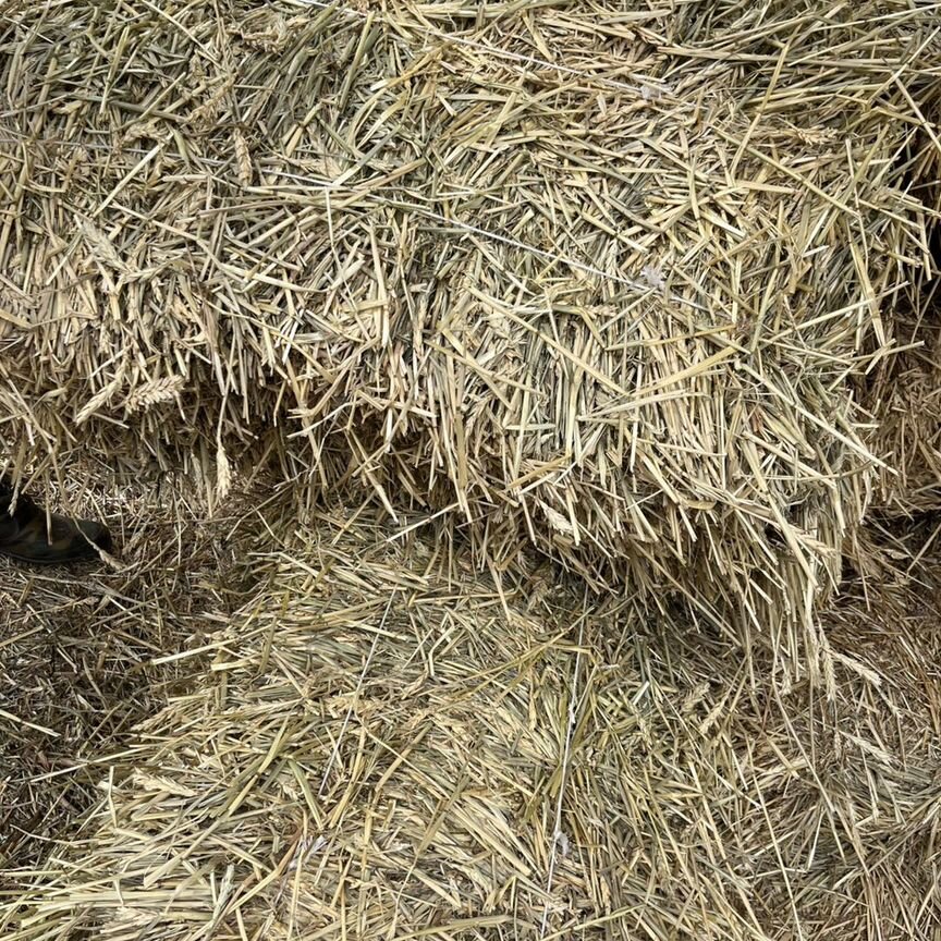 Сено в тюках