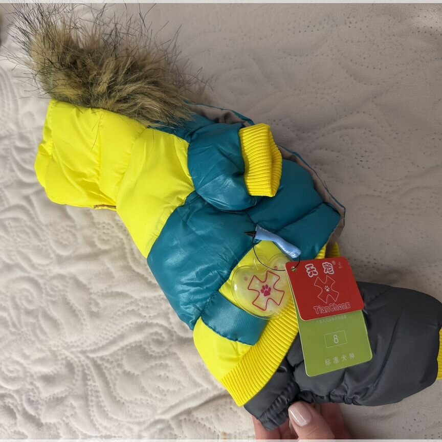 Одежда для собак мелких пород