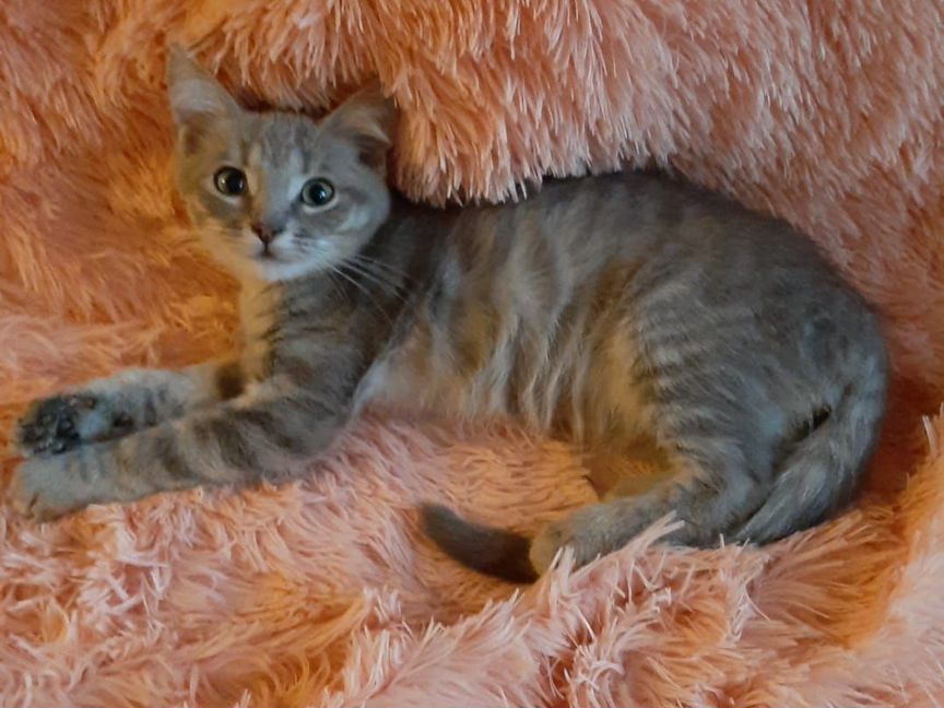 Умница и красавица