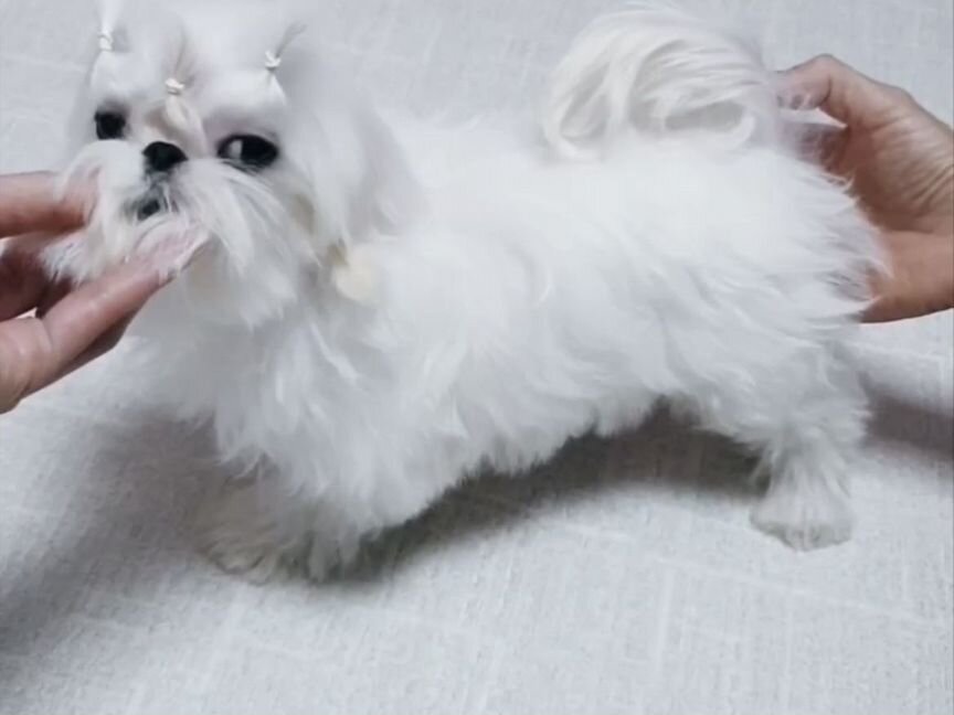 Шикарная блондинка из Кореи