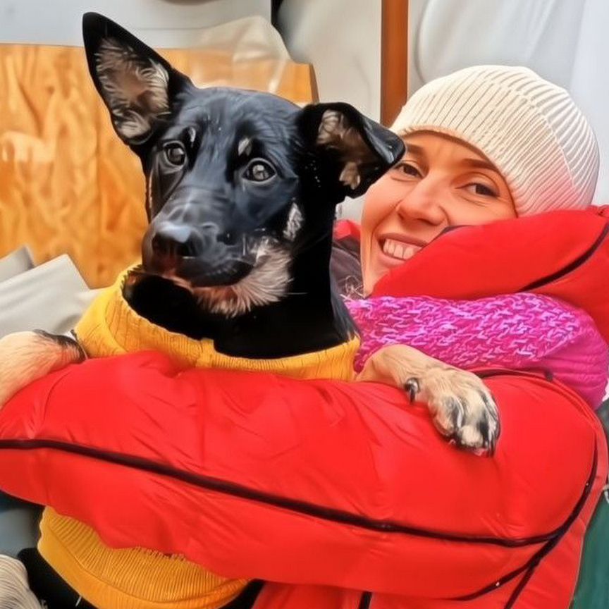 Щенок в добрые руки