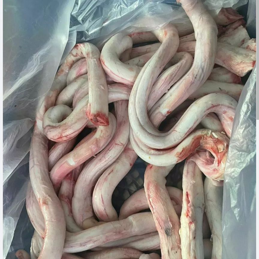 Бычий корень для собак свежий