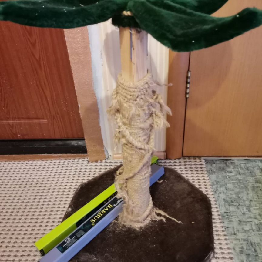 Когтеточка