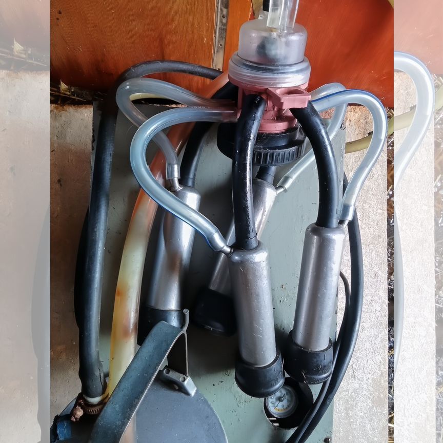 Доильный аппарат для коров бу   сипоратор