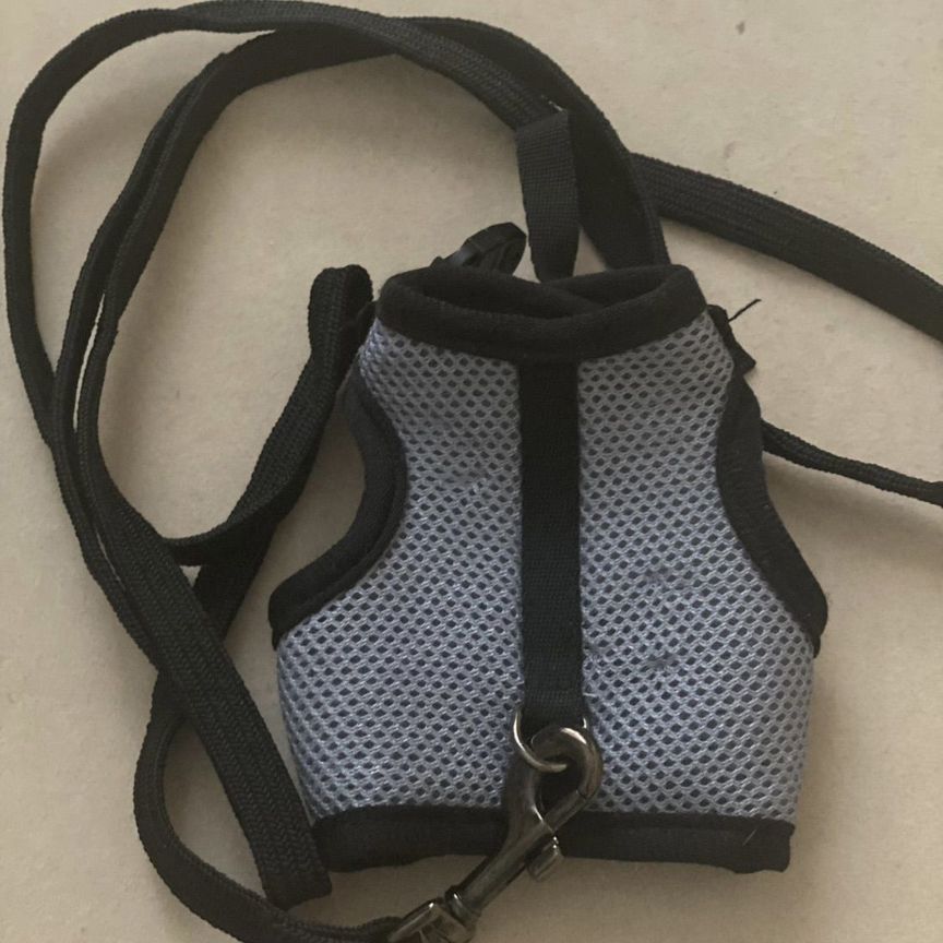 Шлейка для крыс