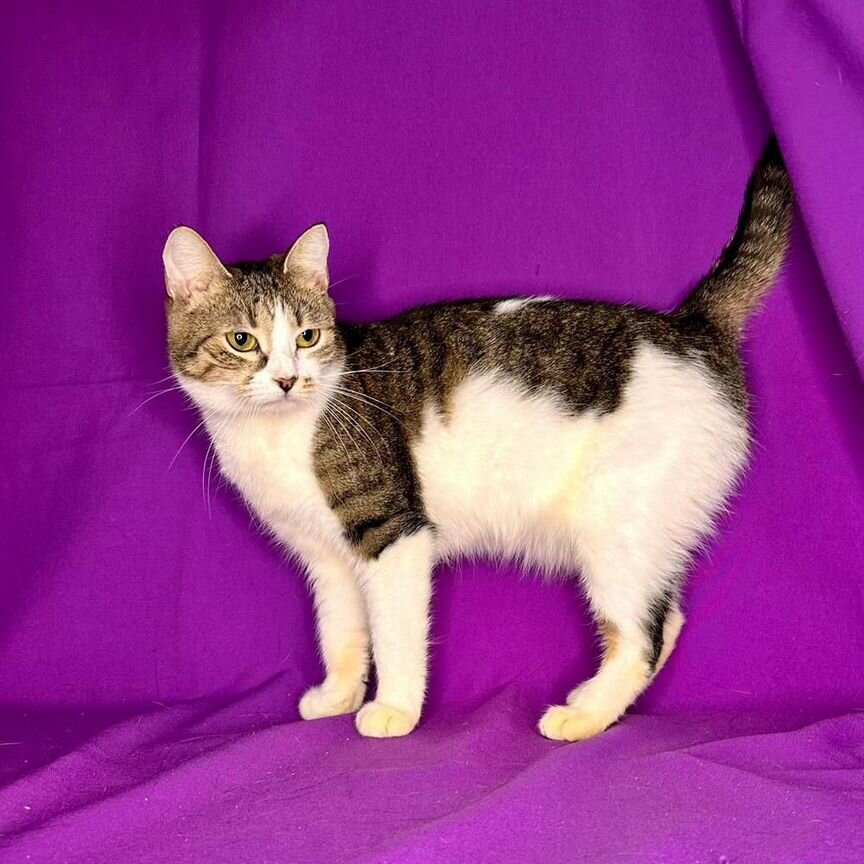 Спокойная Мелисса ищет дом