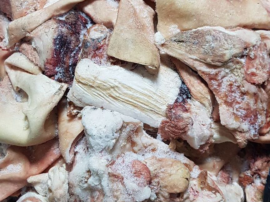 Корм для собак, обрезь свиная и говяжья