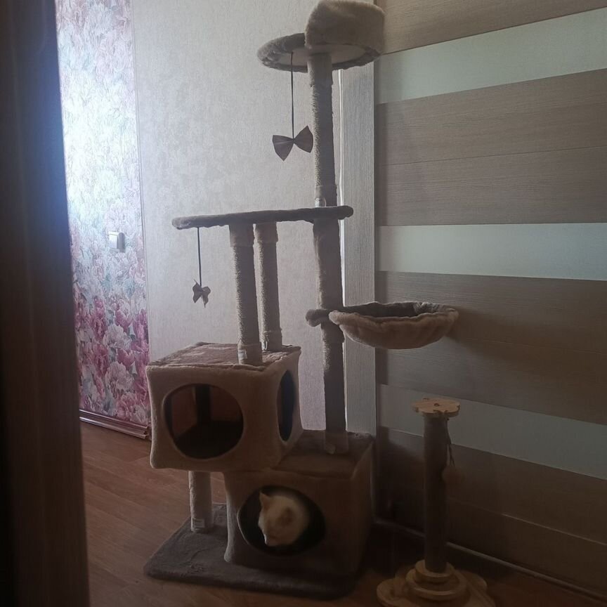 Домик для 2-х кошек с дополнительной когтеточкой