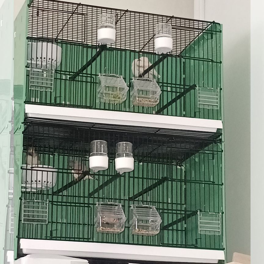 Клетки срощенные для разведения птиц