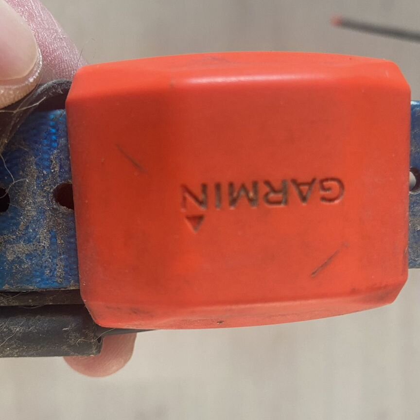 Ошейник garmin t5 америка