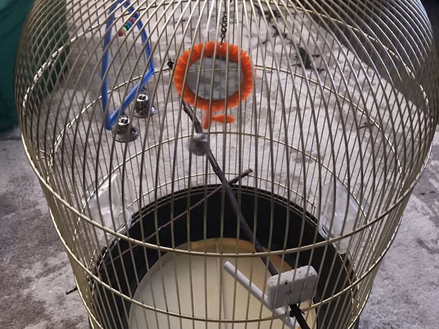 Клетка для попугая