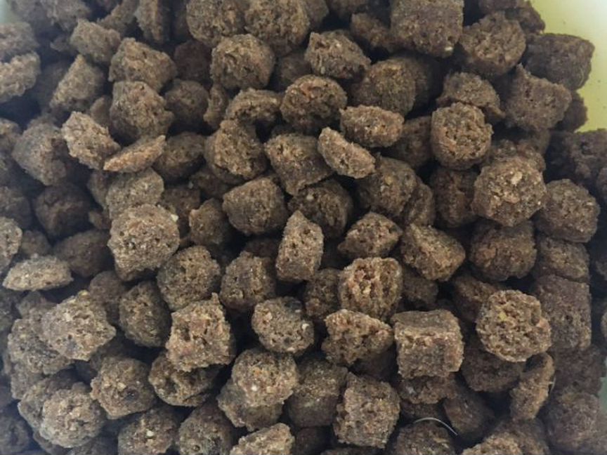 Корм для форели и осетра