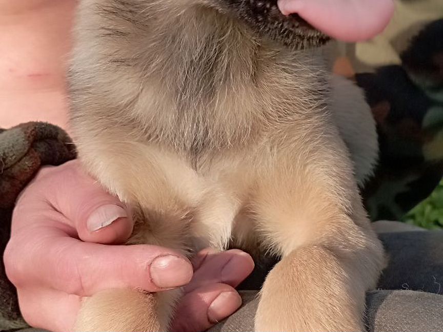 Нужен новый дом