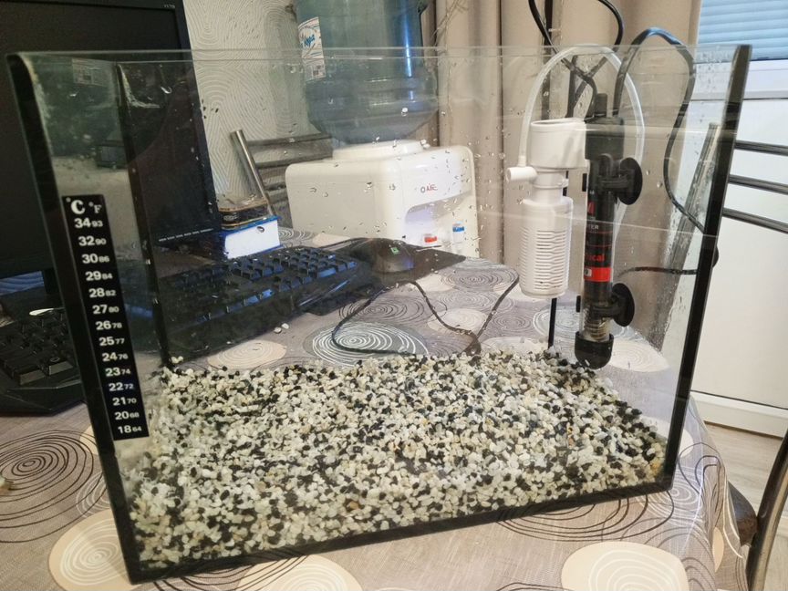 Аквариум со всем необходимым оборудованием