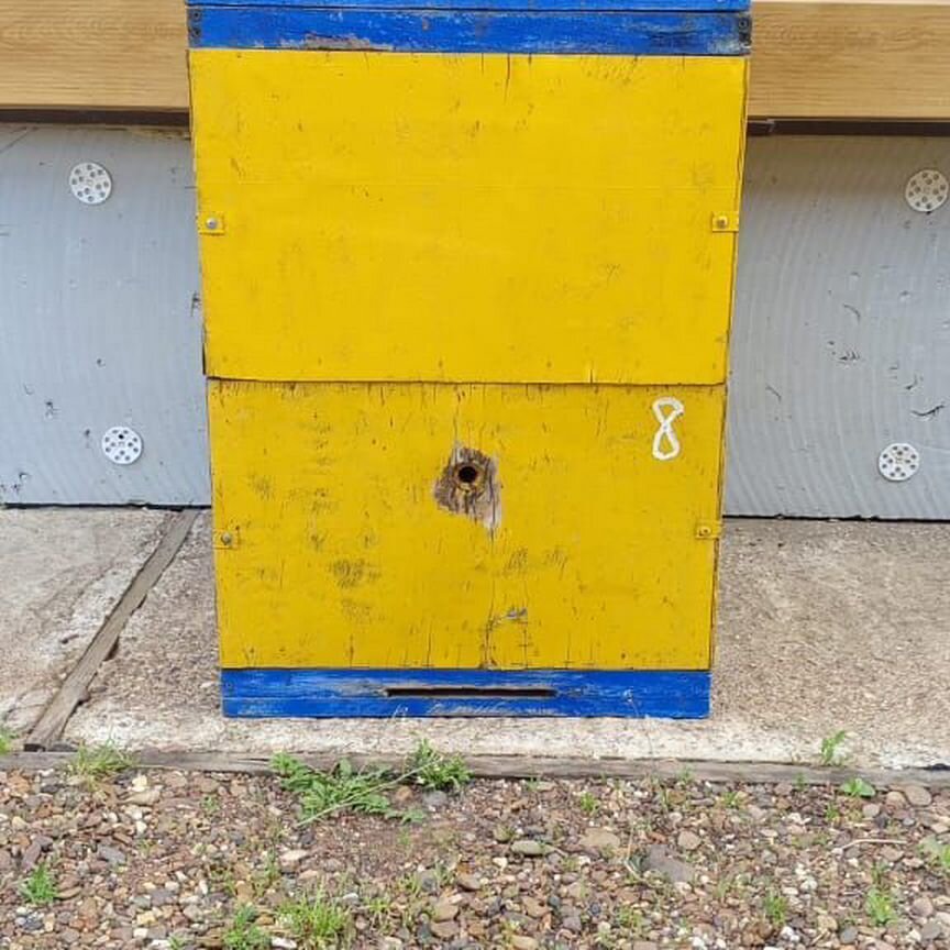 Улей для пчел