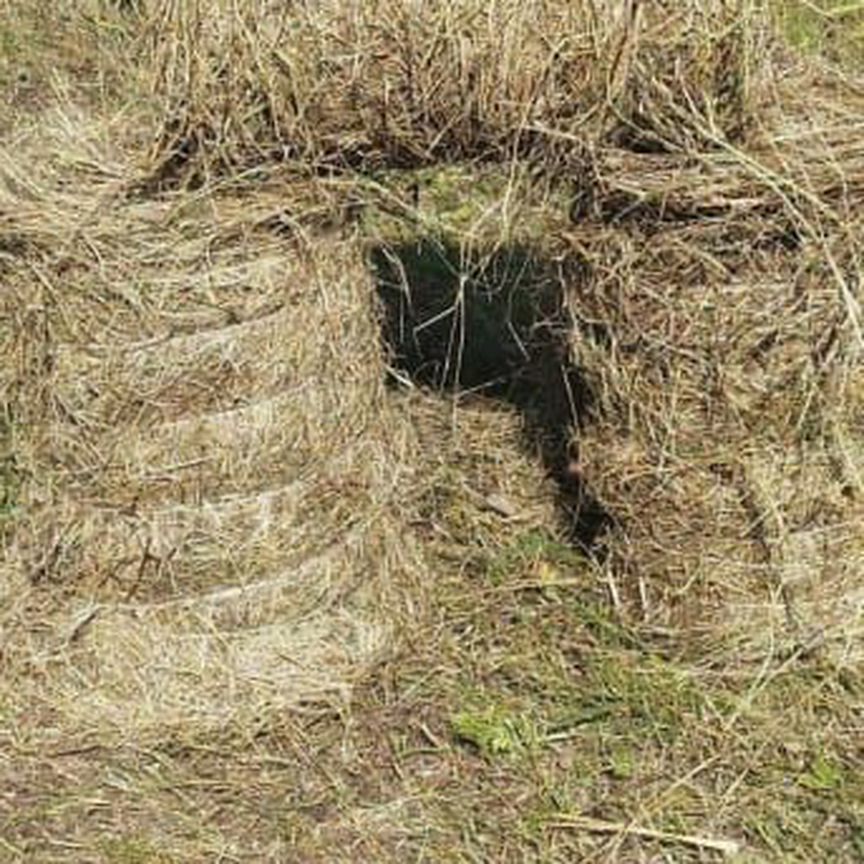 Продам сено в рулонах