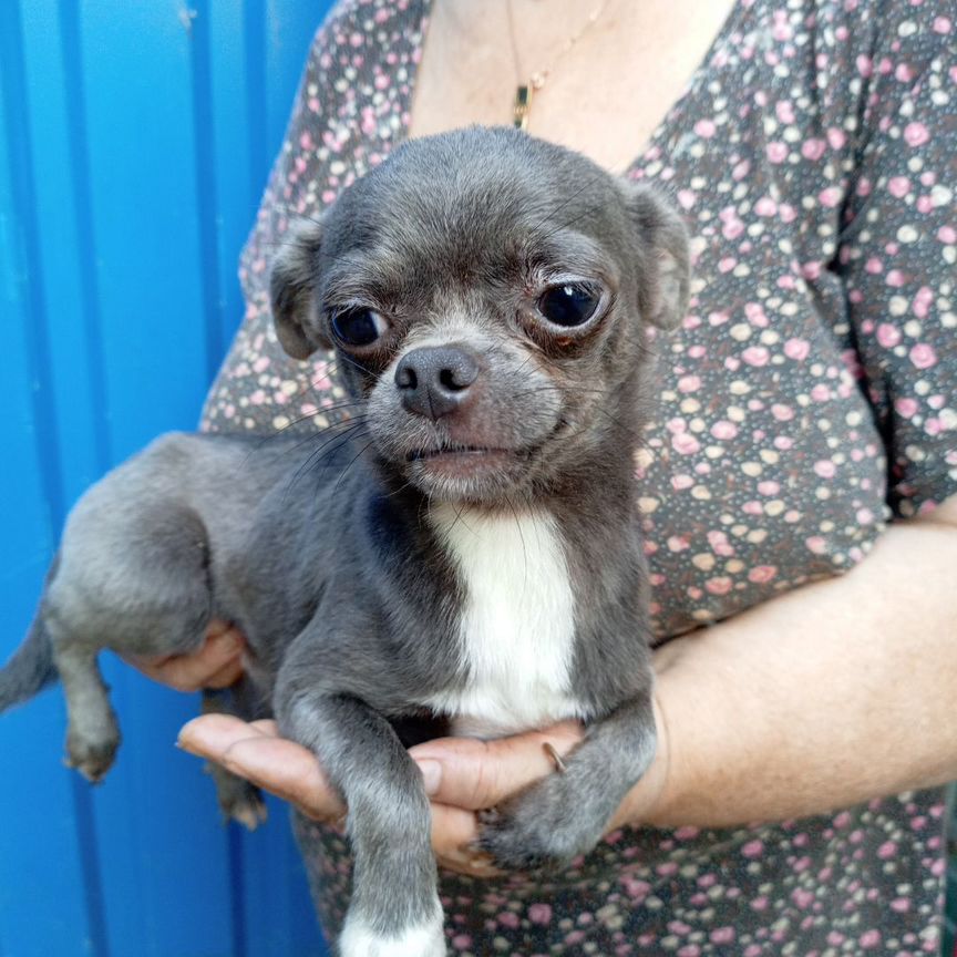 Мальчик подросток