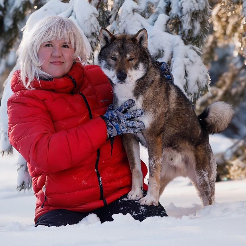 Сикоку, щенок