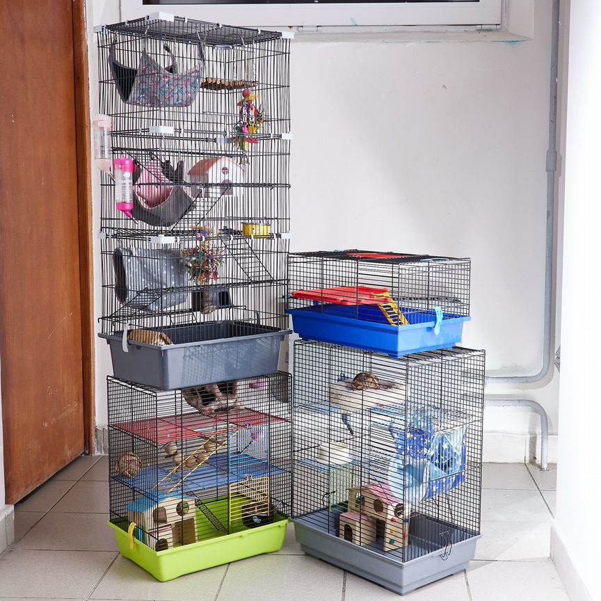 Клетка для крыс хомяков грызунов дегу