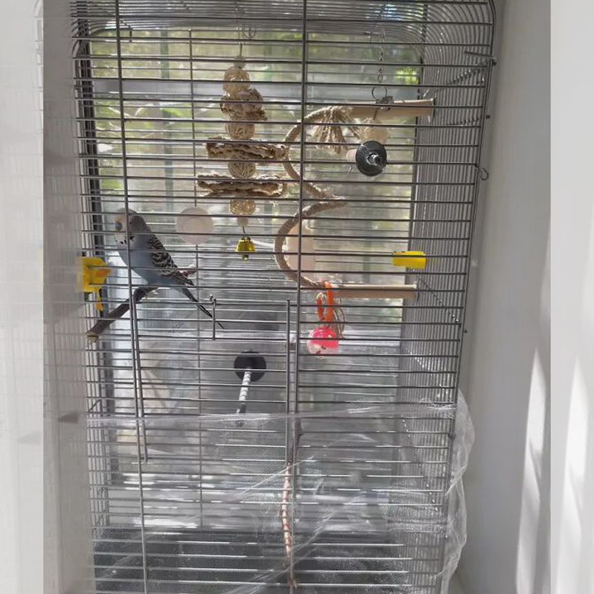 Большая клетка для птиц
