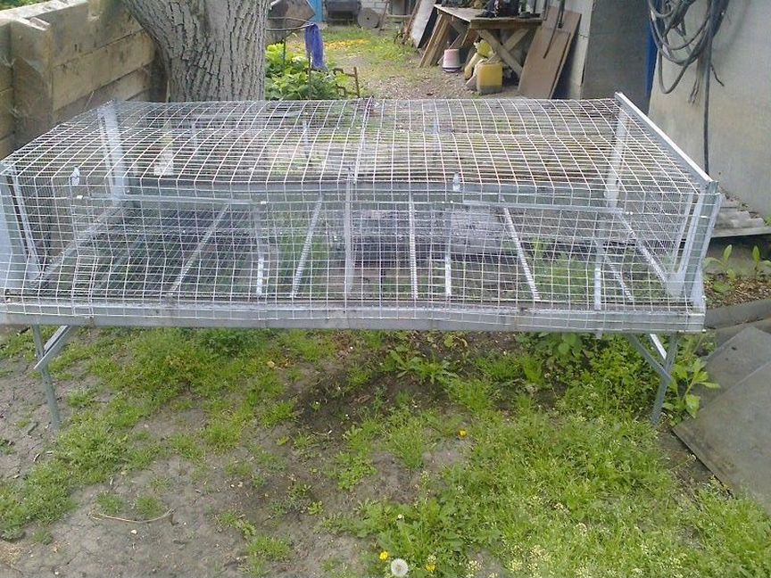 Клетка для птиц