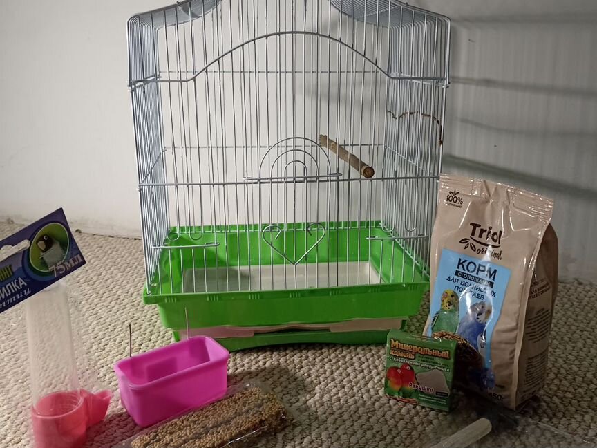 Клетка