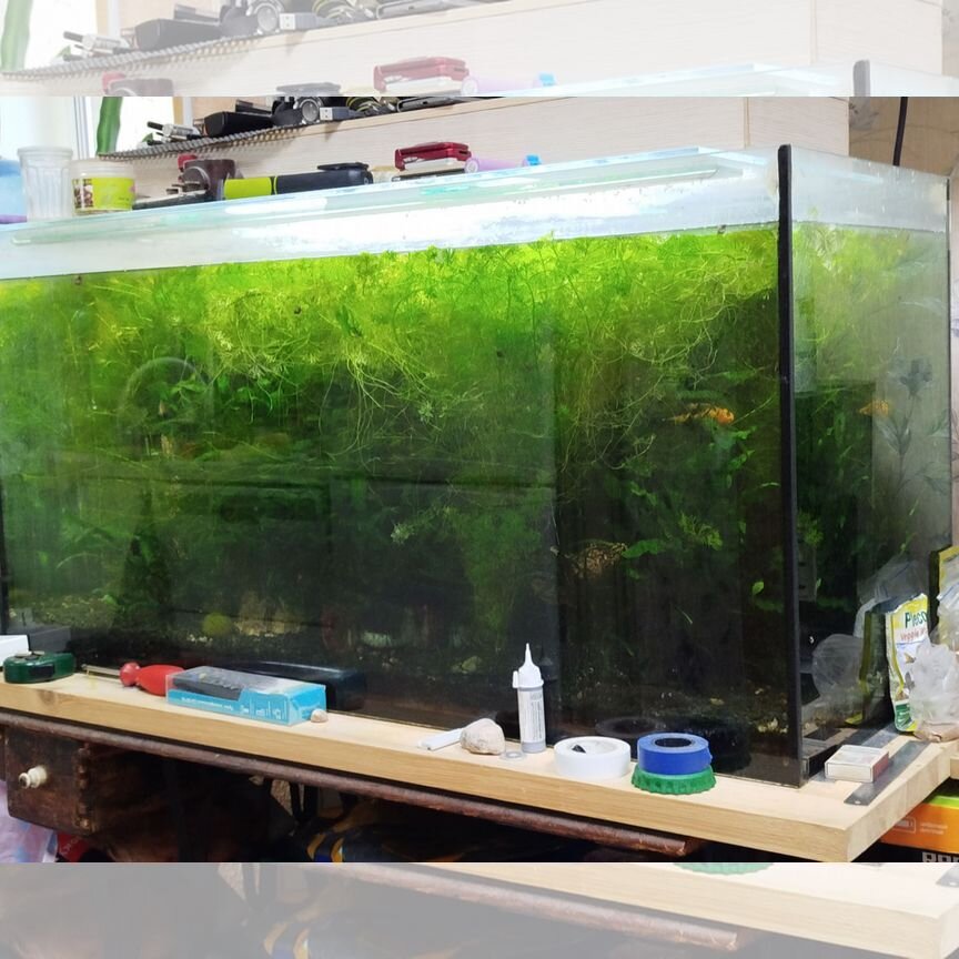 Аквариум с рыбками и оборудованием