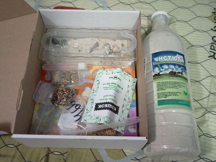 Муравьиная ферма antplanet