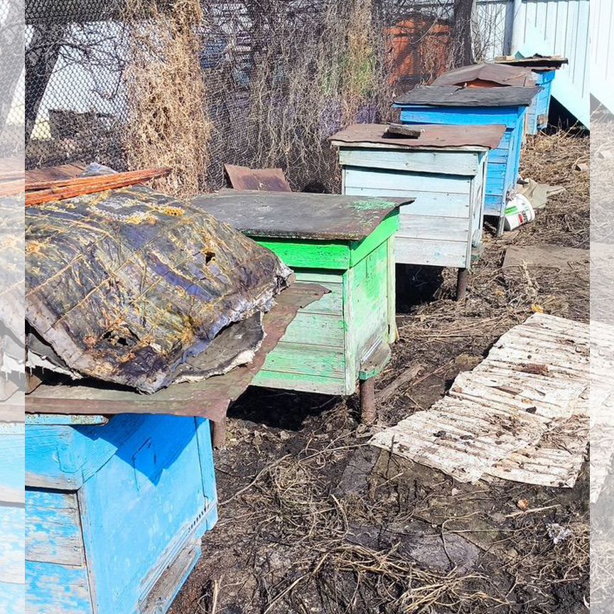 Ульи для пчел