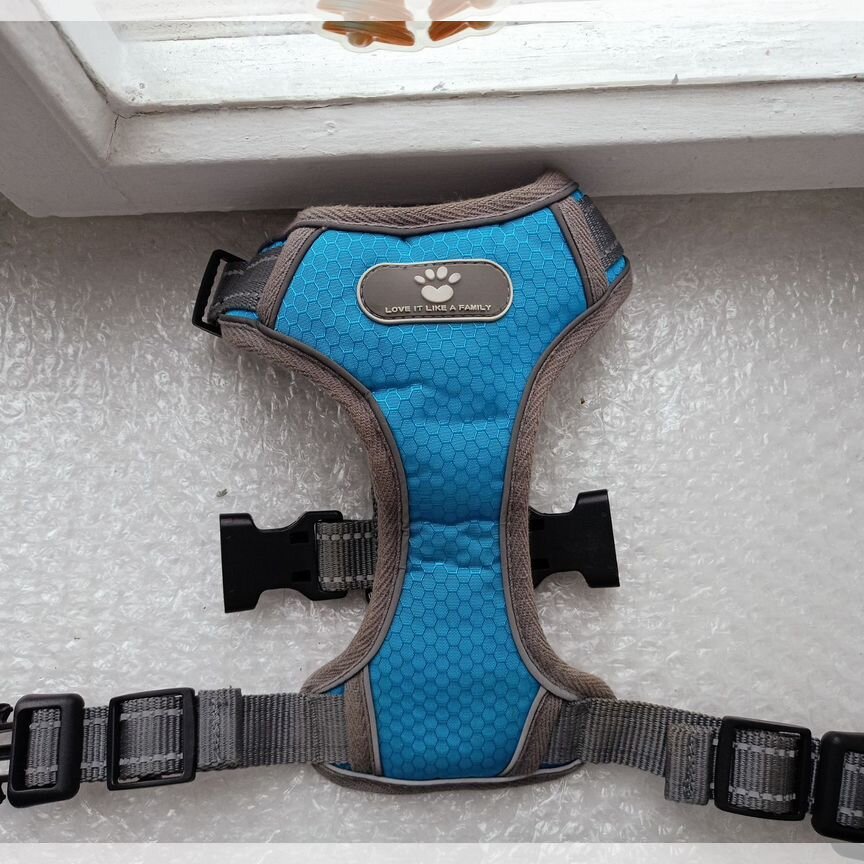 Шлейка для маленькой собаки