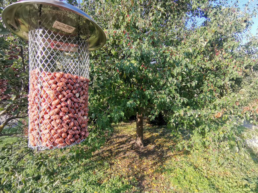 Кормушка для птиц. Подвесная