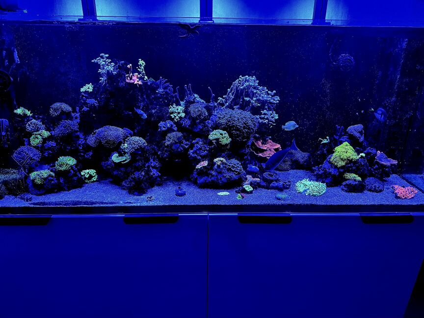 Морской аквариум