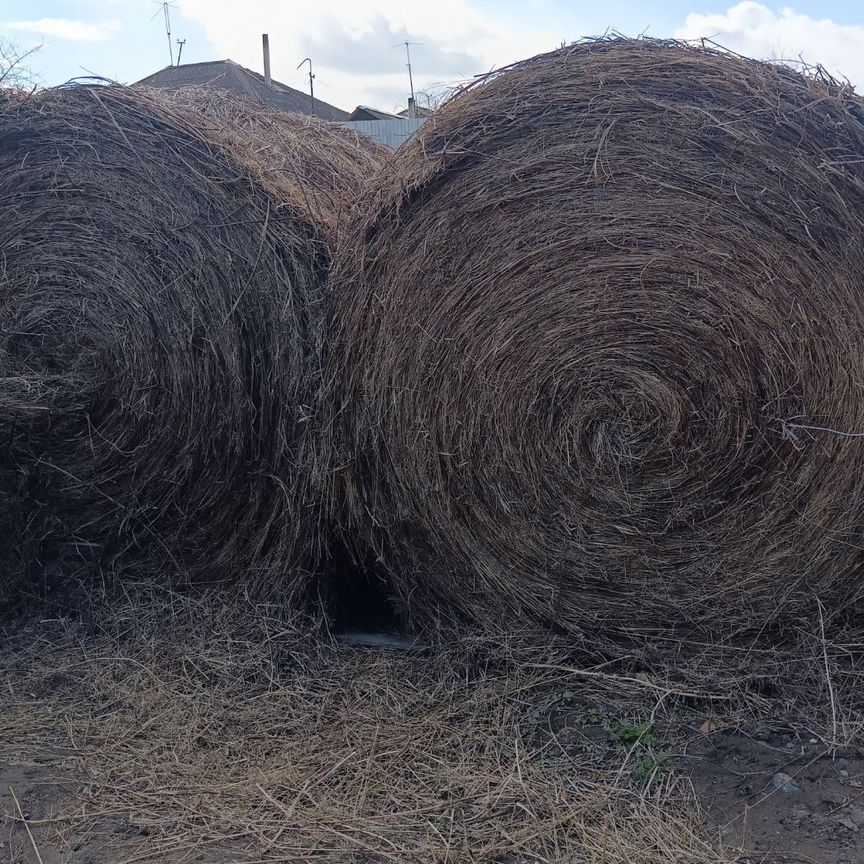 Сено в тюках