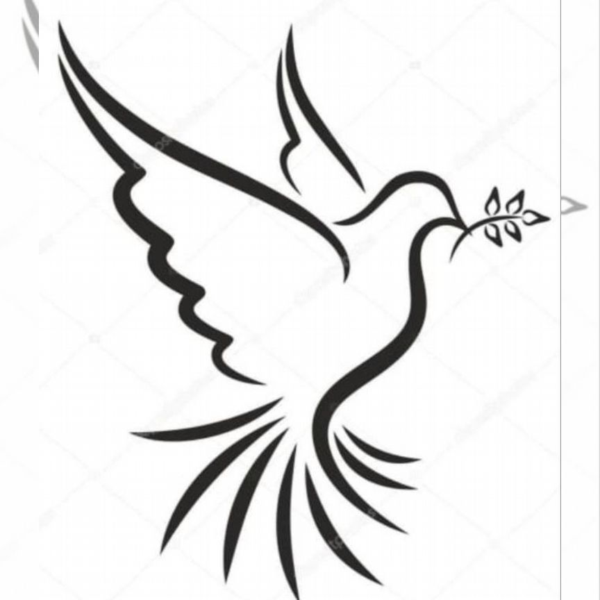 Голуби на свадебный выпуск