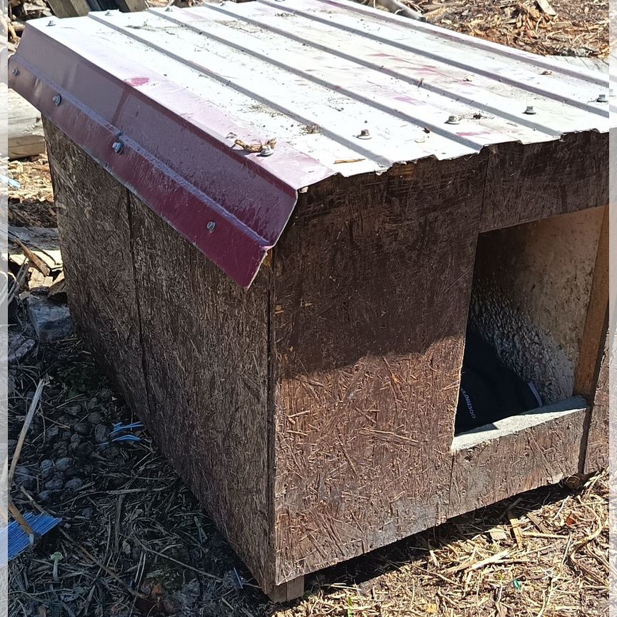 Будка для собаки утепленная