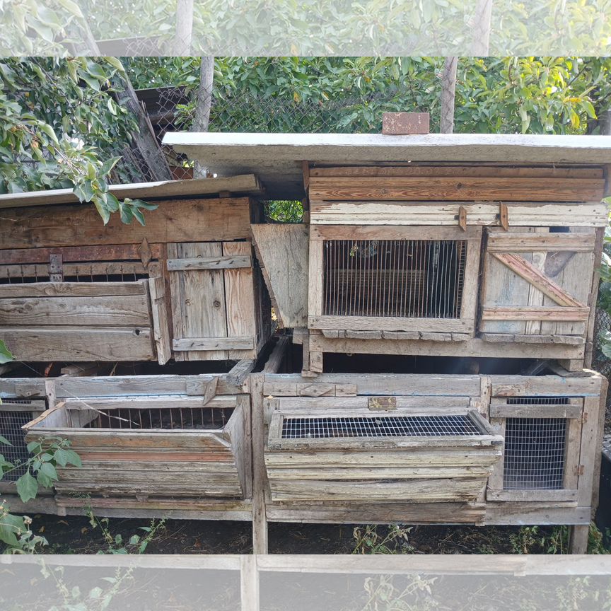 Крольчатник