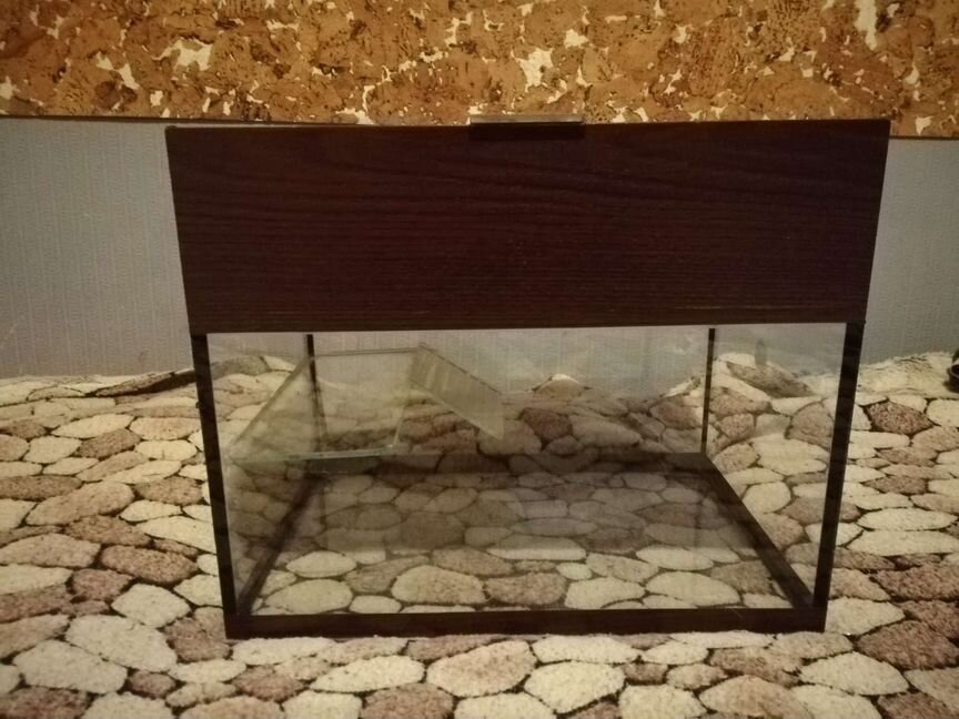 Террариум бу