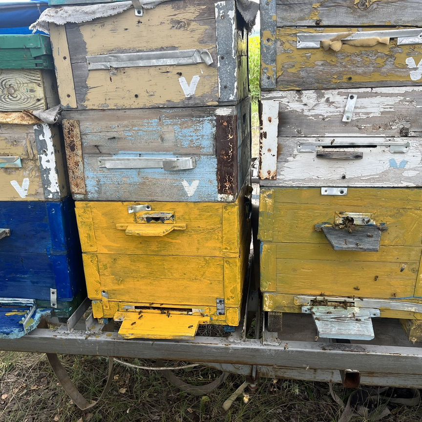 Улей для пчел бу