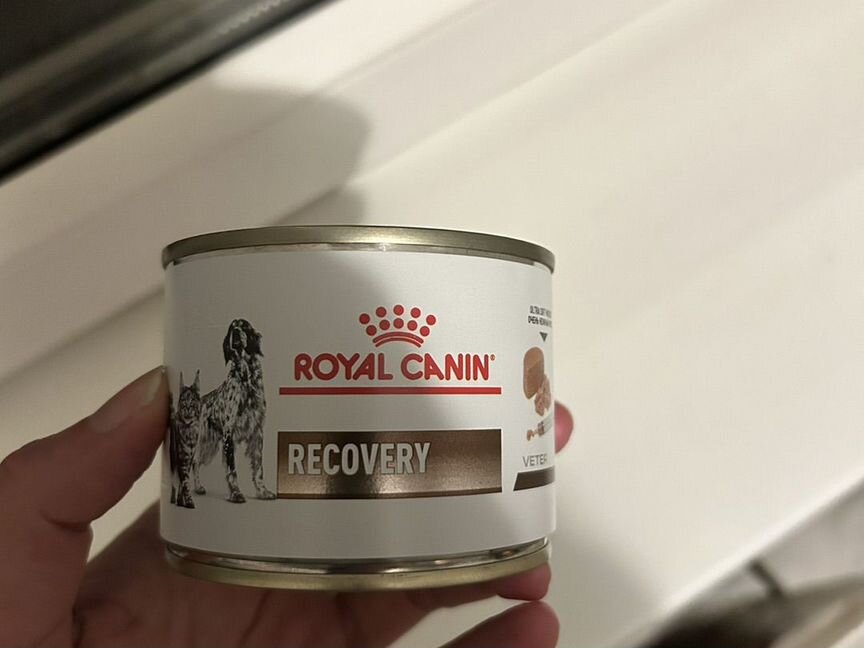 Royal canin recovery