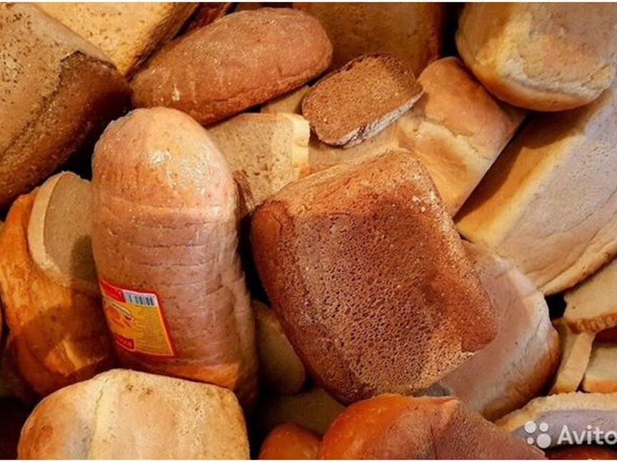 Корма для животных