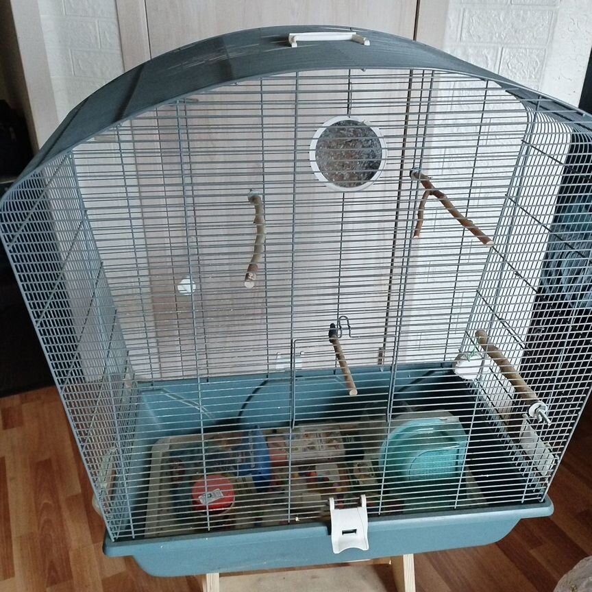 Клетка для среднего попугая