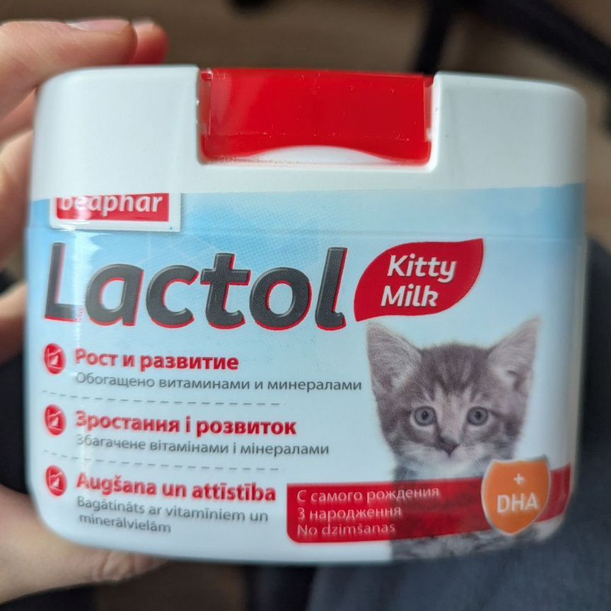Молочная смесь для котят