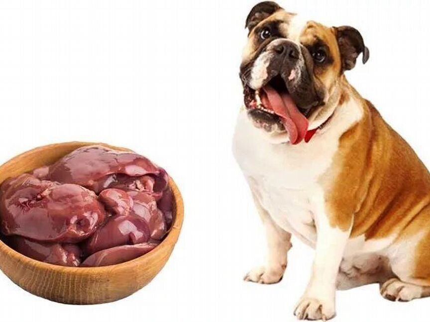 Корм для собак