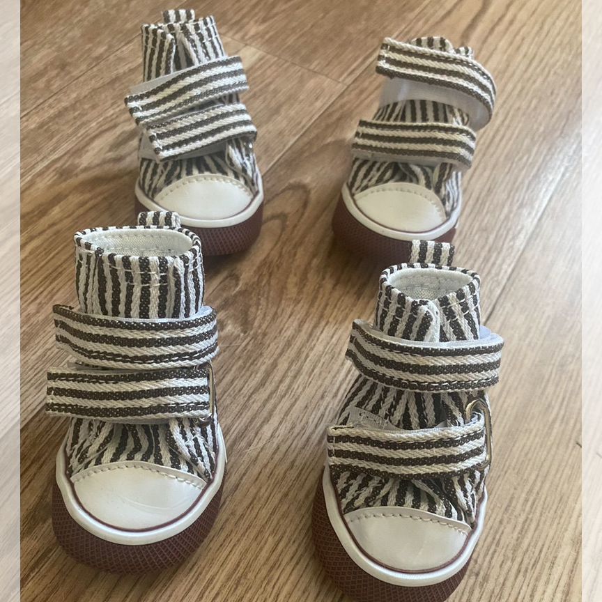 Обувь для маленьких собак