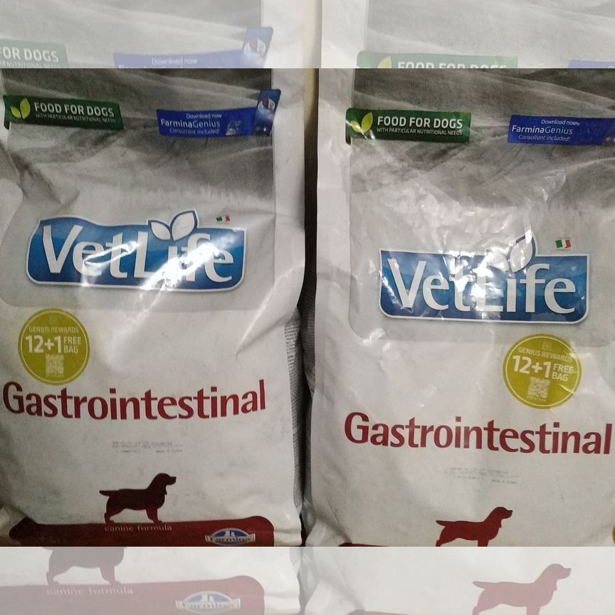 Сухой корм для собак