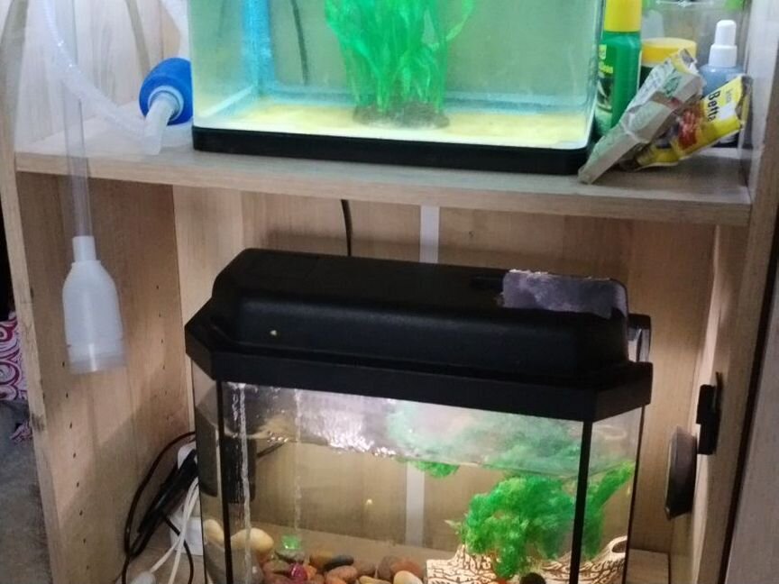 2 Аквариума для рыбок рептилий