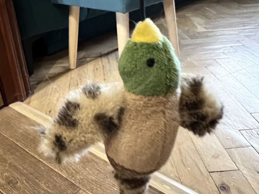 Игрушки для кошек