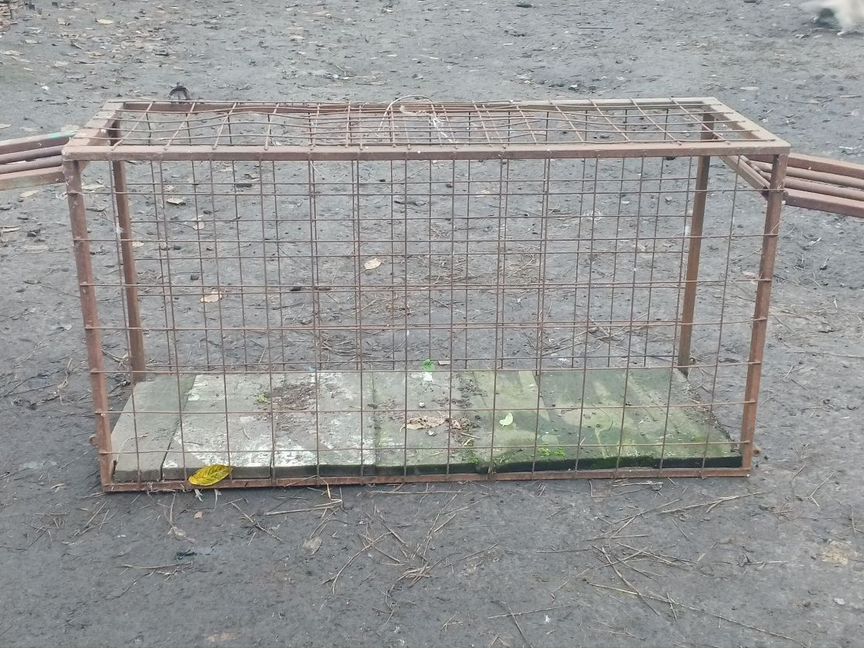 Клетка для перевозки поросят